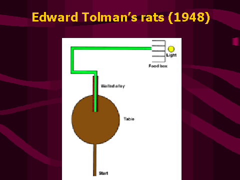 Edward Tolman’s rats (1948)